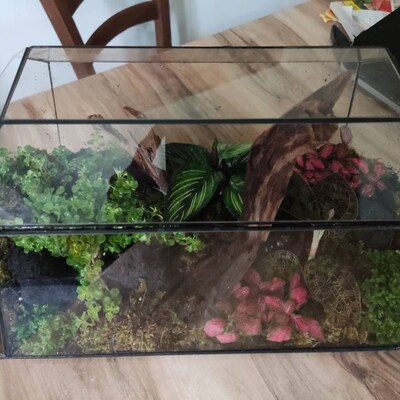 Waterproof 18 Inches Geometric Terrarium Galaxius Stunning Parametric ...