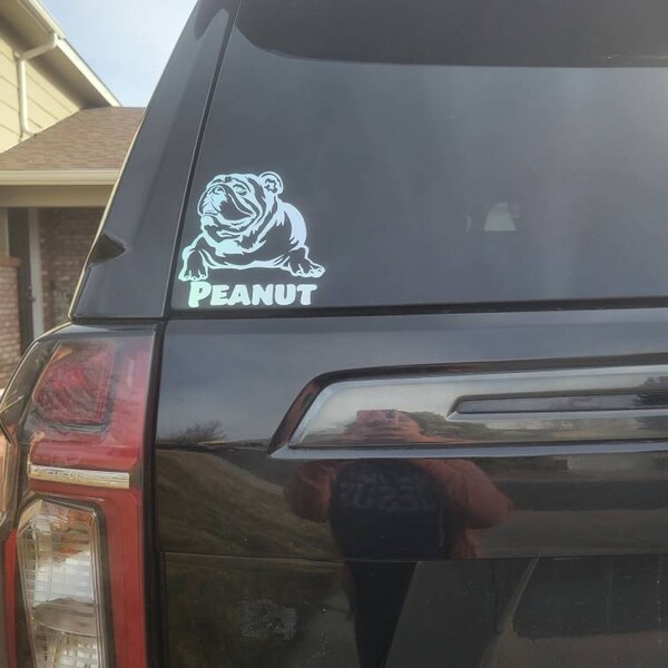 Alligator Snapping Turtle, Turtle Svg, Turtle Silhouette 1 Clipart ...