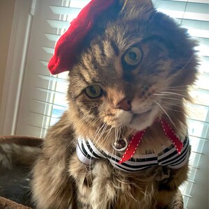 Complete French Cat Outfit Cat Beret Ascot and Striped Shirt | Etsy