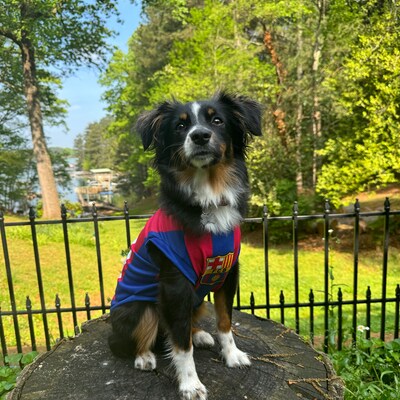 Barcelona Personalised Pet Tank Top FC 23/24 With Original FC Logo dog ...