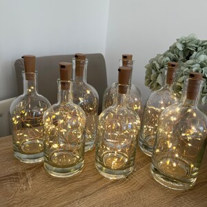 Copper Wire Firefly Fairy Glass Bottle With Warm Lights. - Etsy