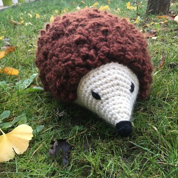 Hedgehog Crochet Kit. Giant Amigurumi Hedgehog Crochet Kit. Easy ...