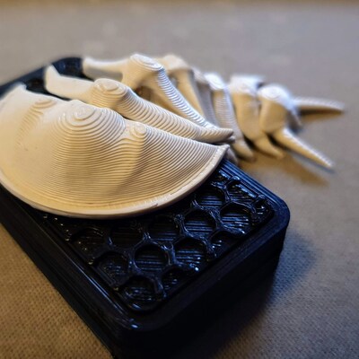 Flexi Snake Model and Fidget Toy - Etsy