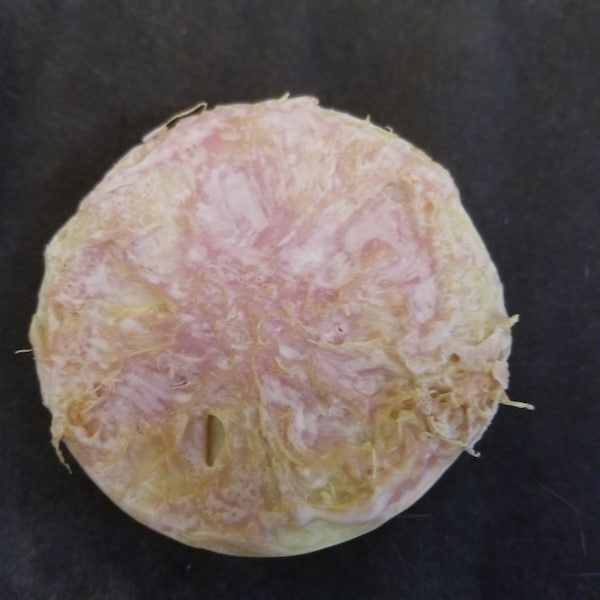 8 Oz. Pulverized Powder Loofah - Etsy