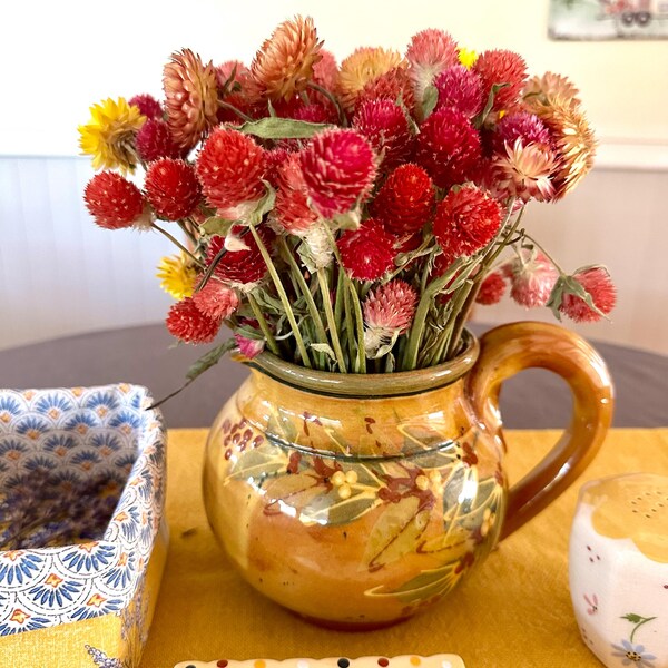 Cherry Red Globe Amaranth, Cherry Red Gomphrena, Globe Amaranth ...