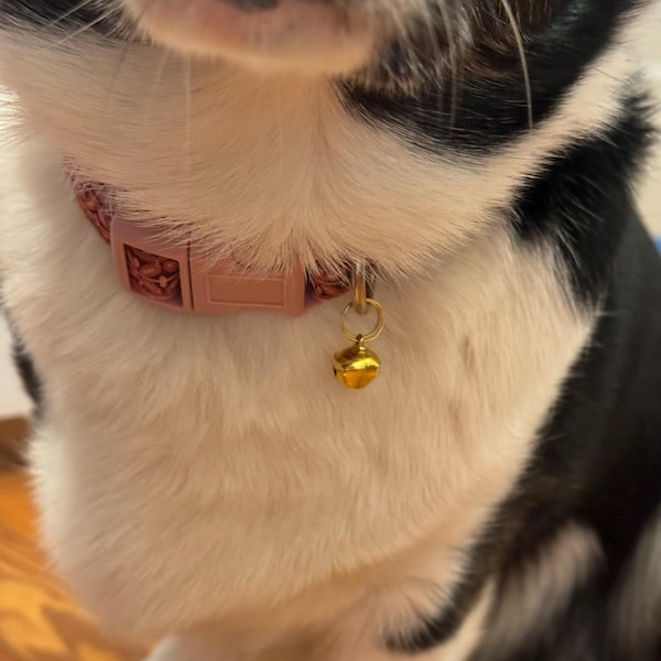 Strawberry Cat Collar Strawberry Kitten Collar Strawberry Collar ...