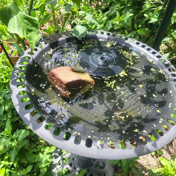 XL 12" Floating Plant Barrier Corral - Self Leveling + Free Mystery ...