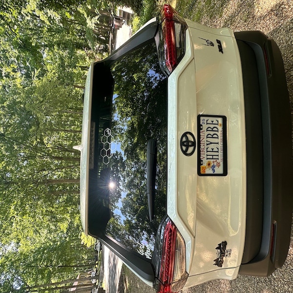 Dirty Heads Inspired so Laid Back Multi Surface Decal - Etsy