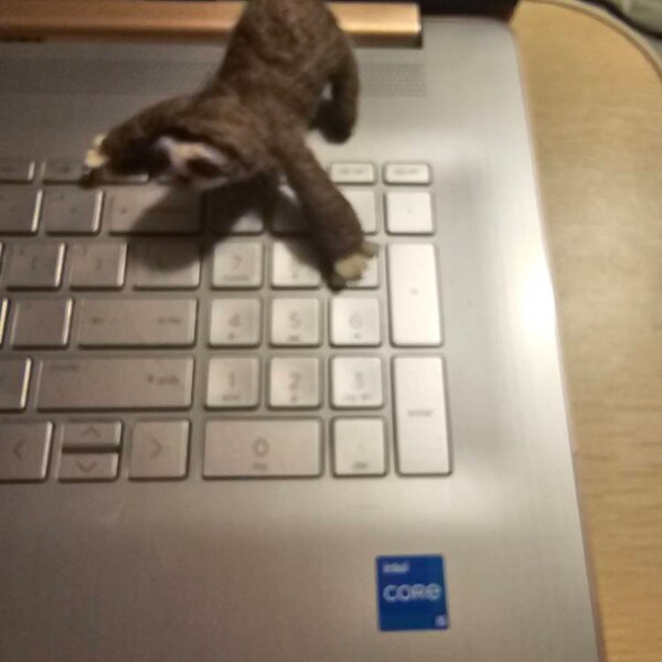 Sloth Desk Pet, Hand Felted Wool Sloth Sculpture, Sloth Gift - Etsy