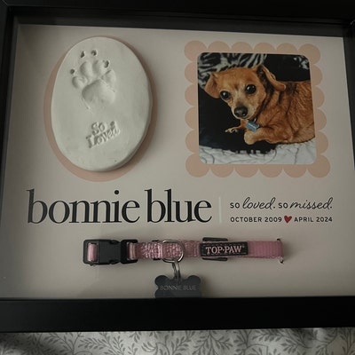 Pet Memorial Paw Print Holder Shadow Box, Two Paw Prints, Pet Loss ...