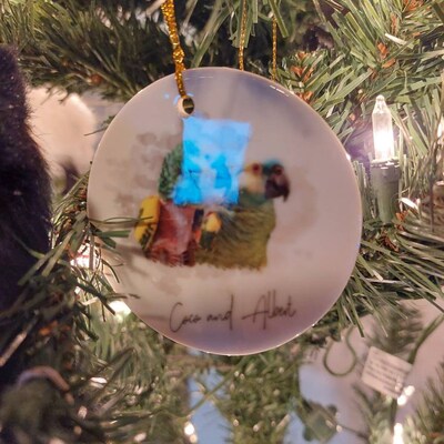 White Rabbit With Poppy Flowers Giclee Print From Original Hand ...