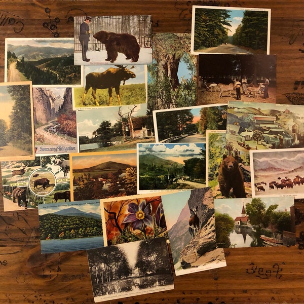 20 Vintage Postcards With Gorgeous Script and Interesting Messages ...