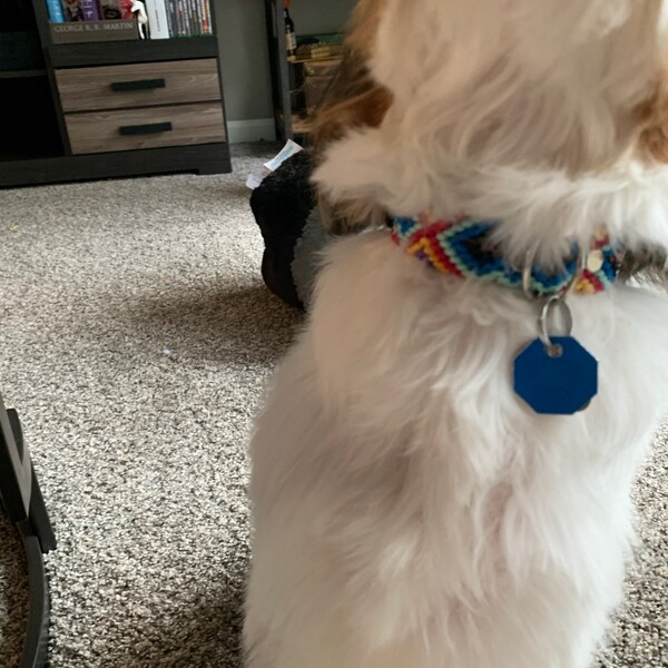 Hand Painted Wedges, Leather Pumps, Mexican Heels, Women Shoes, Pumps ...