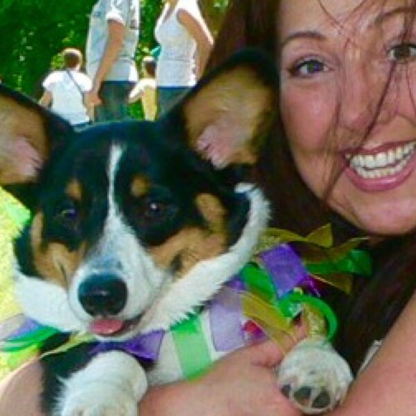 Evie Anderson Corgi Art SIGNED PRINT "the Kandy Kitchen" Pembroke Welsh ...