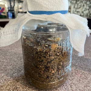 Ant Colony Nature Study Bundle Charlotte Mason Learning Materials Ant ...