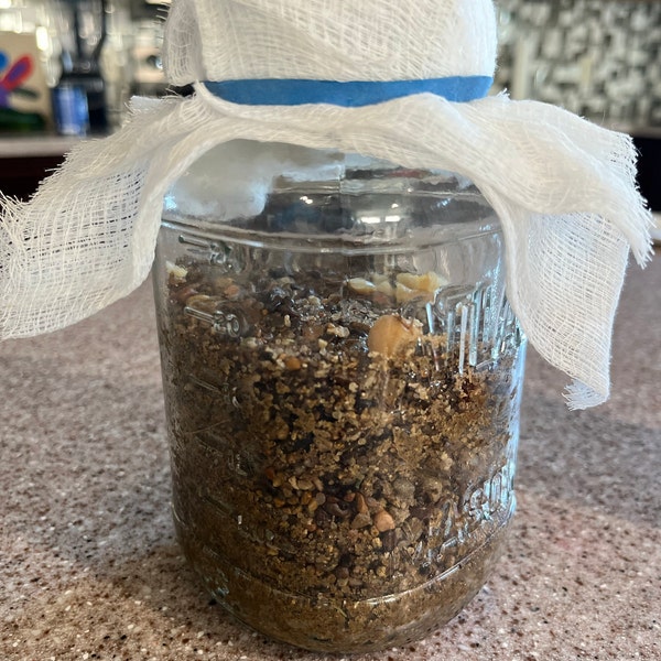 Ant Colony Nature Study Bundle Charlotte Mason Learning Materials Ant ...