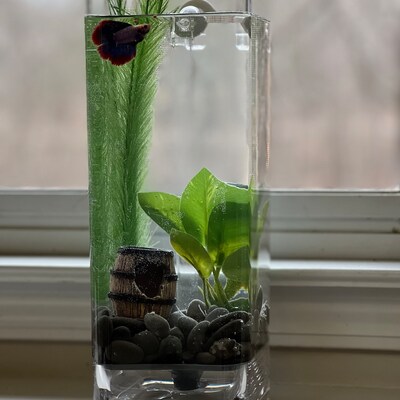 Self-cleaning Betta Fish Aquariums With LED River Stones Food - Etsy