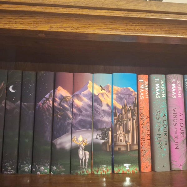 From Blood and Ash Special Edition Book Set | FBAA, Booktok, Bookish ...