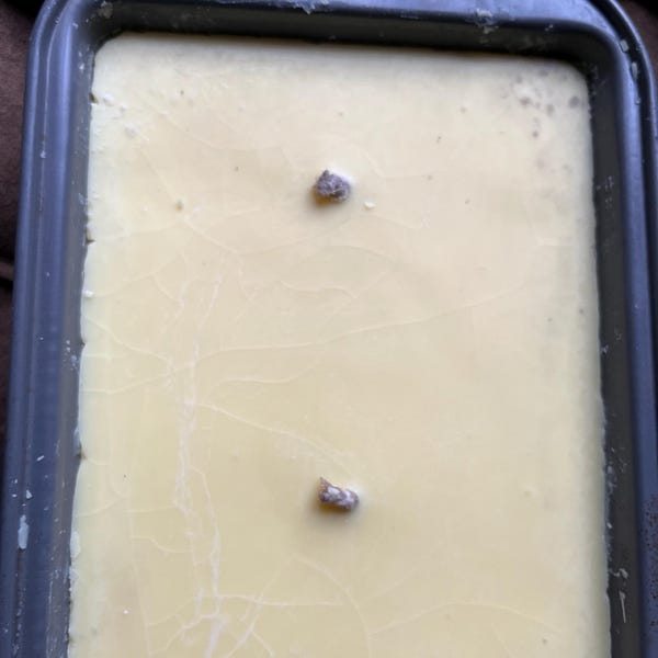 Spamdle Soy Candles Handmade Eco Friendly Upcycled Recycled Can Gag ...