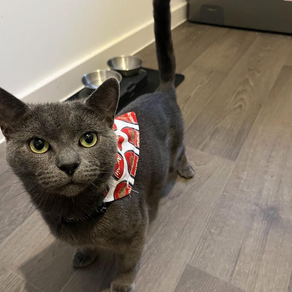 Arsenal Dog Bandana Football AFC Gunners Slide Collar Neckerchief - Etsy