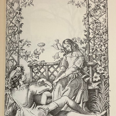 Development of the Minkowski Geometry of Numbers Vol 2 by Harris ...