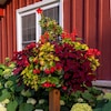 Wrought Iron 31" Ball Top Triangle Topiary Flower Trellis, Metal Plant ...