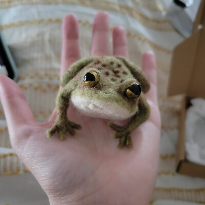 Needle Felted Toad Small Wool Toad Handmade Toad Sculpture - Etsy