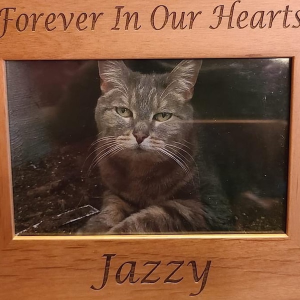 Cat Memorial Frame, Pet Loss Gifts, Cat Picture Frame, Picture Frames ...