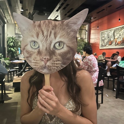 Custom Face Fans With Wooden Handle, Wedding Heads, Bachelorette Groom ...