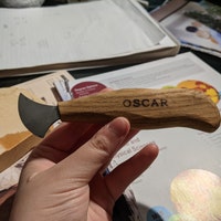 Personalized Hobby Set of 12 Gouges, Straight and Bent Gouges in Case ...