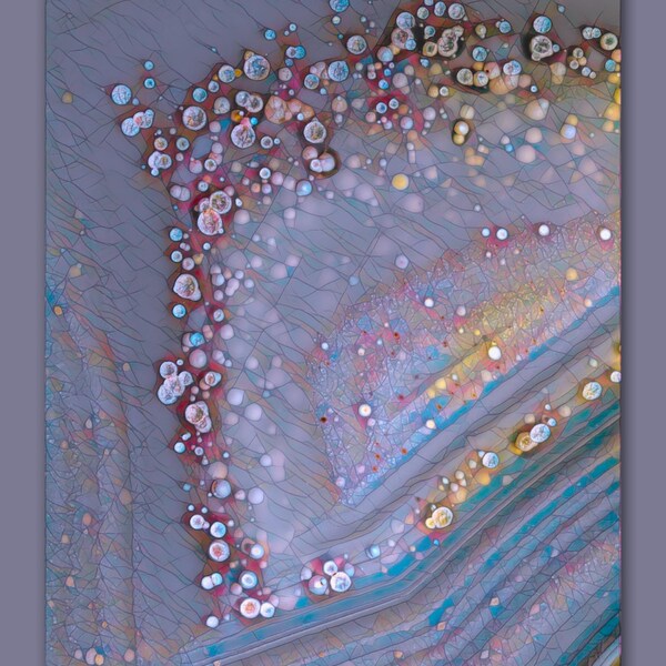 I LICK ROCKS Sticker | Funny Rock Stickers | Taylor's Rocksmithery - Etsy