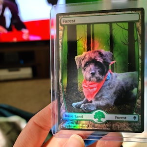 Personalized Pet Magic the Gathering Foil Land | Etsy
