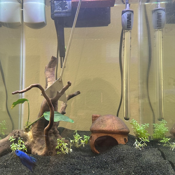 Aquarium HOB Filter Baffle – Calm Water Flow Diffuser for Bettas ...