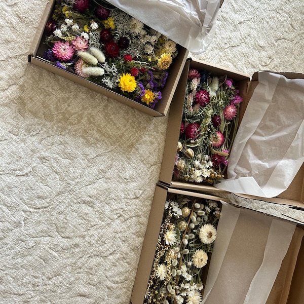 Dried Flower Supplies Mix Craft Box, Organic Preserved Wildflowers, DIY ...