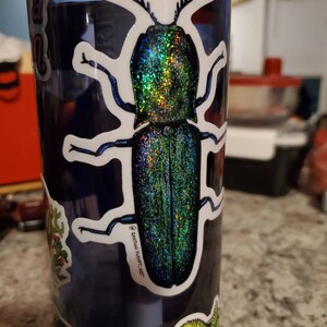 Mantis Trio Sticker Pack - Etsy