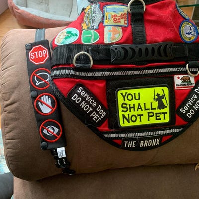 Vest adjustable Size, in Training Do Not Approach, Light Weight Sd ...