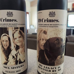 19 Crimes Inspired Wine Labels | 21st Birthday Gift for Her | 21st ...