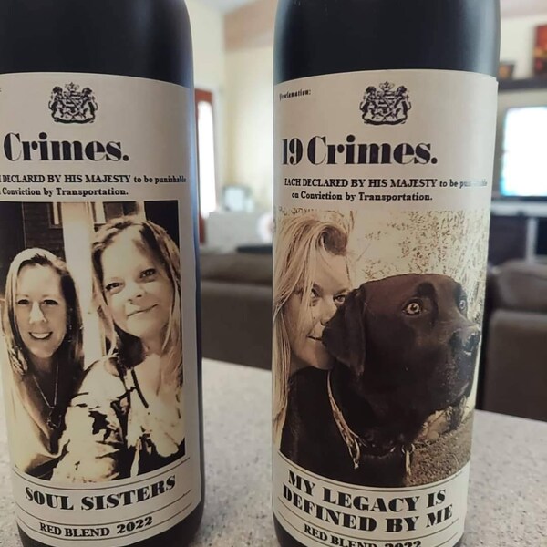 19 Crimes Inspired Wine Labels | 21st Birthday Gift for Her | 21st ...