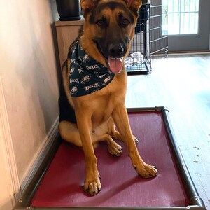 Small 9x12 Snuffle Mat Rooting Rug Canine Pet Dog Pig Rabbit - Etsy