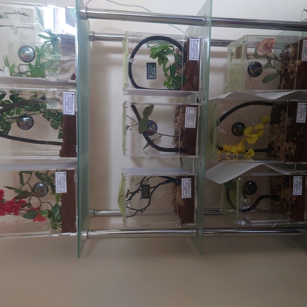 Small Terrarium Label Laminated Enclosure Label Exotic Pet Informative ...