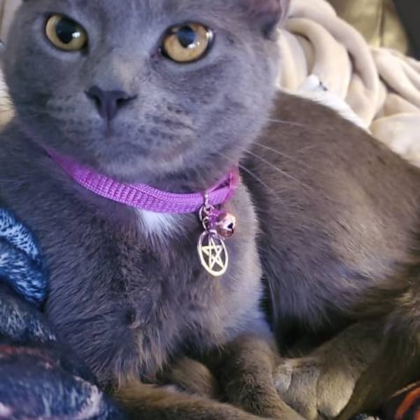 Witches Familiar Pentacle Cat Collar: Adjustable Pentacle Charm ...