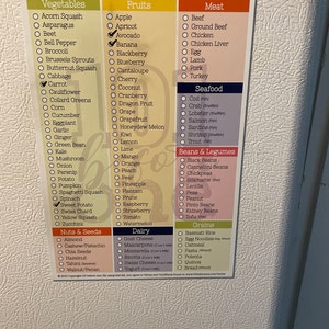 101 Food Checklist PDF Download for Baby Led Weaning From 101 Before ...