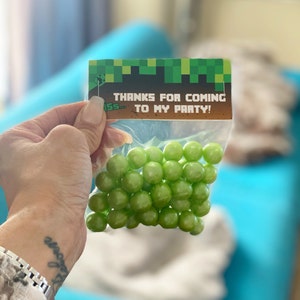 56 Mine Themed Birthday Food Signs Instant Download | Etsy