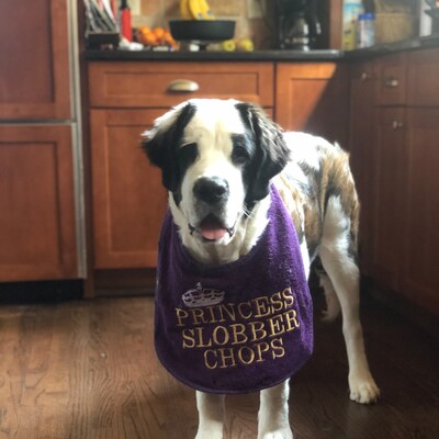 Big Dog Slobber Bibs Assorted Designs - Etsy