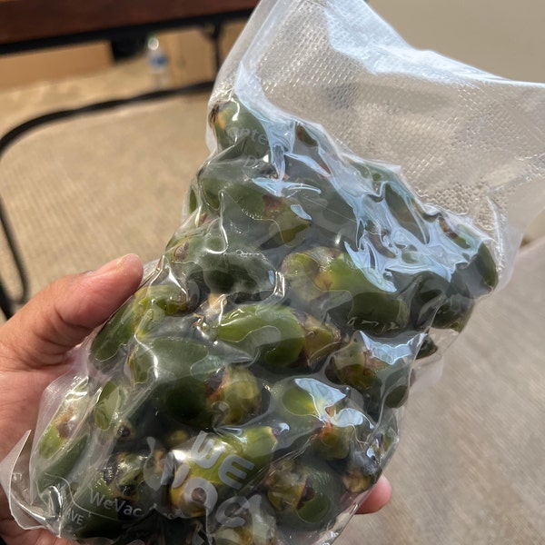 Guam Regular Pepper 16oz. Dinanche (hot Pepper Paste) - Etsy