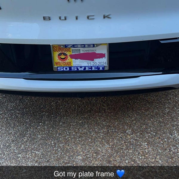 Delta Sigma Theta- DST License Plate Red Background Mirror Letters ...