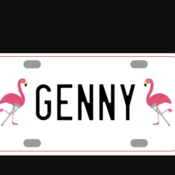 Floral Wheelchair Mobility Scooter Walker Elderly Custom Mini Aluminum ...