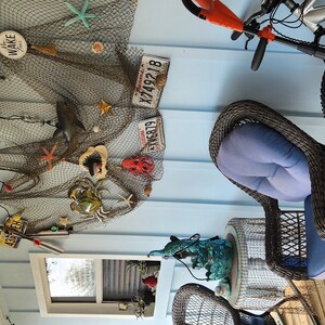 10 to 11 River Cooter Turtle Shell 1077-1011 - Etsy