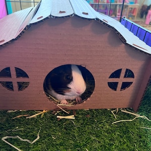 Cardboard Hobbit Style Hidey - Etsy