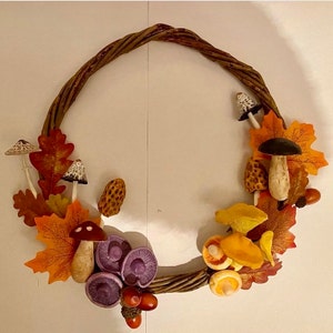 Dried Conkers Conkers in Shells dried Natural Conkers | Etsy